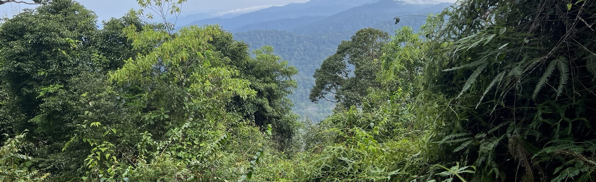 Gunung Angsi via Bukit Putus - Ulu Bendul, Negeri Sembilan, Malaysia ...