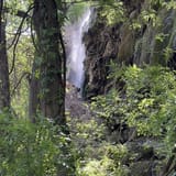Gorman Falls Trail, Texas - 1,006 Reviews, Map | AllTrails