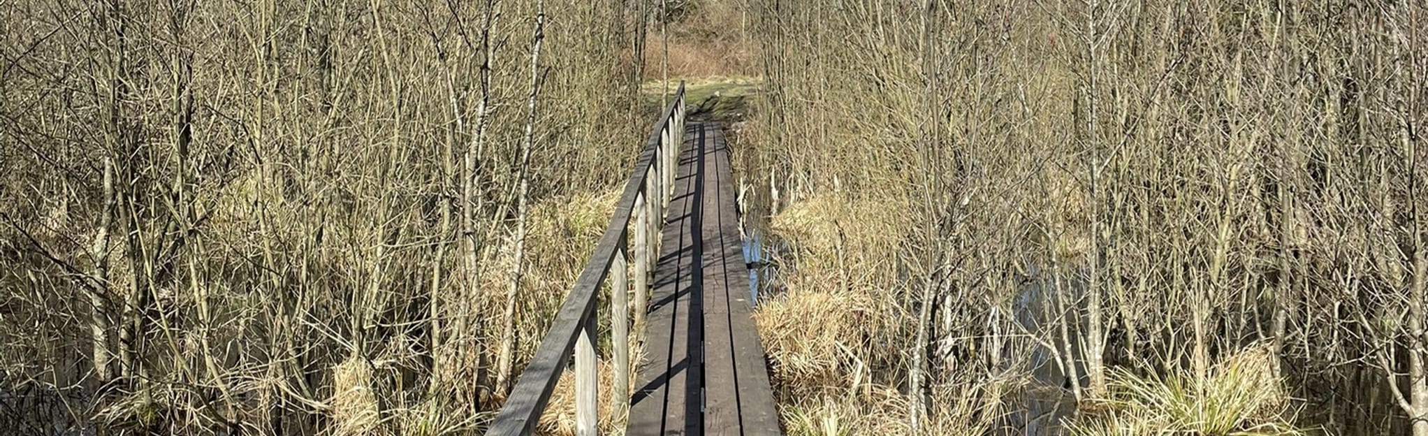 Häckeberga: Yellow Loop, Skåne, Sweden - 9 Reviews, Map | AllTrails