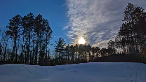 Best Hikes and Trails in Pinhey Forest | AllTrails