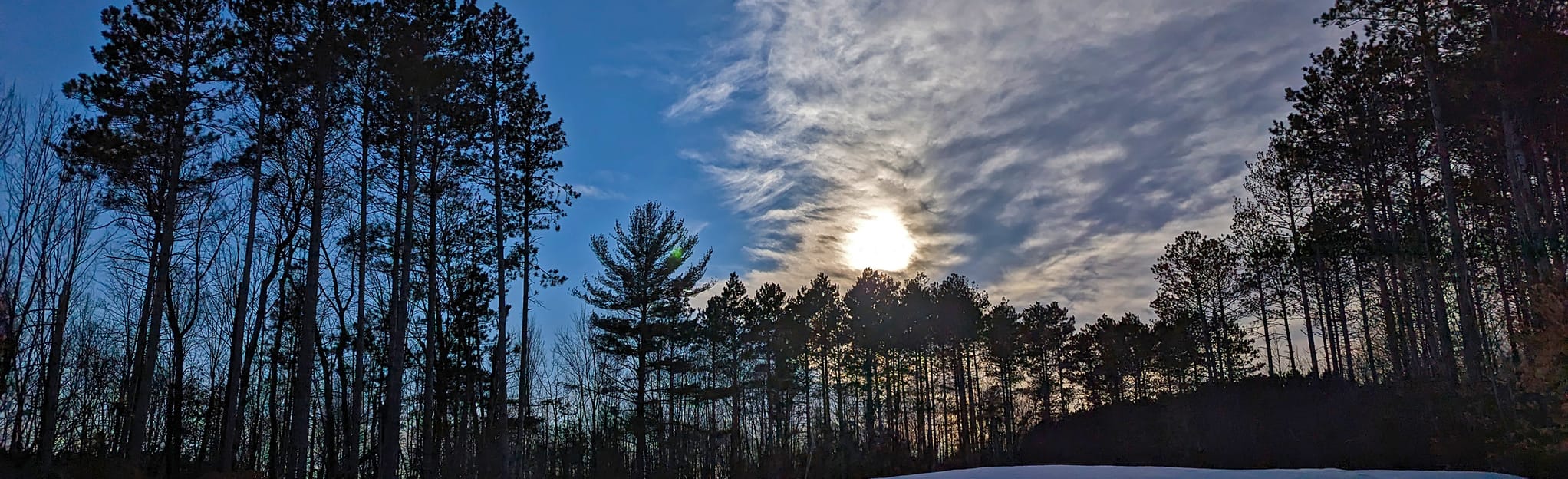 Pinhey Forest South Loop, Ontario, Canada - 74 Reviews, Map | AllTrails