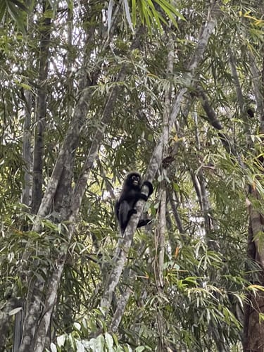 2023 Best Wild Flowers Trails in Ban Tan Han | AllTrails