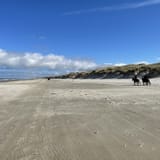 Saltum Beach - Grønhøj Beach, North Denmark Region, Denmark - 16 ...