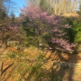 Lake Atalanta via Frisco Springs Trail, Arkansas - 366 Reviews, Map ...