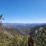 Figueroa Mountain, California - 266 Reviews, Map | AllTrails