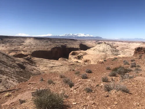 Best Hikes and Trails in Dirty Devil Wilderness Study Area | AllTrails