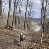 Concho Overlook, West Virginia - 169 Reviews, Map | AllTrails