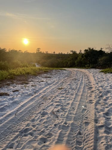 2023 Best trails in Allen David Broussard Catfish Creek Preserve State Park | AllTrails