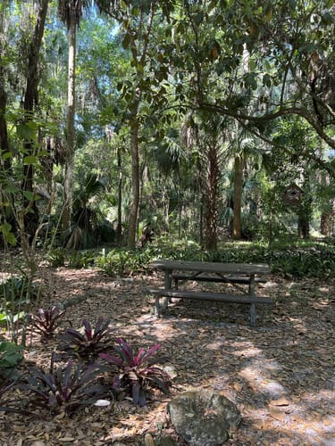 Best Hikes and Trails in Carney Island Recreation & Conservation Area ...
