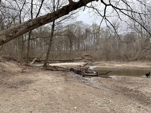 2023 Best trails in Marott Park and Nature Preserve | AllTrails