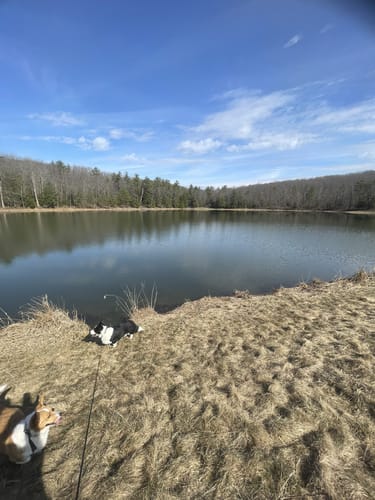 Best Hikes and Trails in Erwin Wildlife Management Area | AllTrails