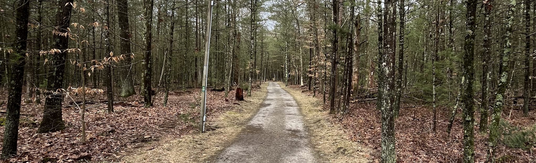 Muskegon Luge Adventure Sports Park Loop, Michigan - 167 Reviews, Map ...