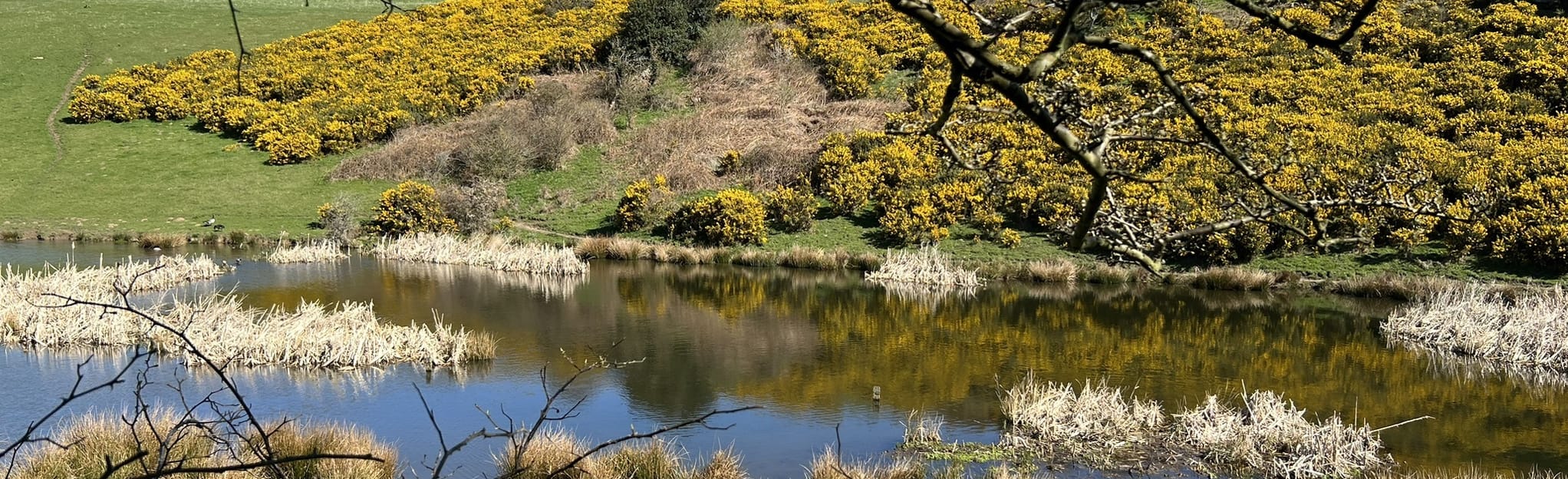 The Cinder Track - Scarborough to Ravenscar, North Yorkshire, England ...
