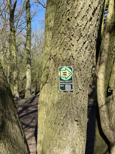 2023 Best Forest Trails in Worcester Woods Country Park | AllTrails