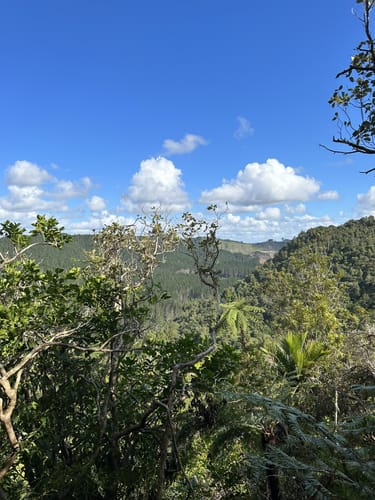 Best Hikes and Trails in Dome Forest Conservation Area | AllTrails