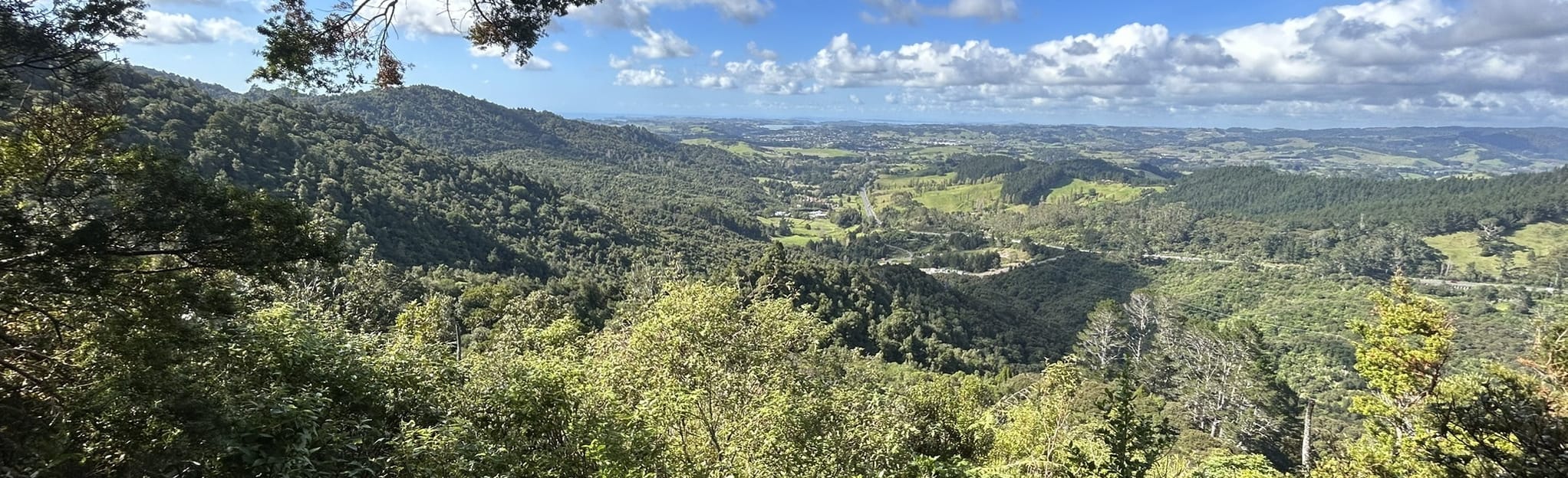 Dome Forest to Govan Wilson Road: 35 Reviews, Map - Auckland, New ...