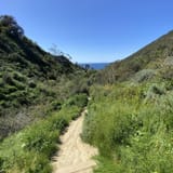 Aliso Peak via Valido Trail, California - 635 Reviews, Map | AllTrails