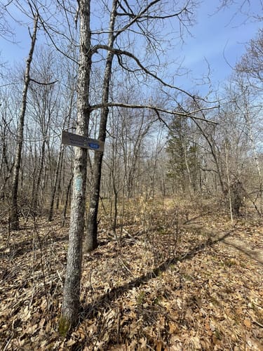 Best Hikes and Trails in Nehantic State Forest | AllTrails