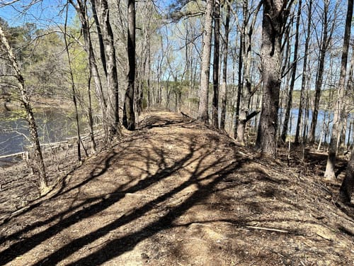 2023 Best Forest Trails in Charlie Elliott Wildlife Center | AllTrails