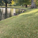 Hagley Park Loop, Canterbury, New Zealand - 196 Reviews, Map | AllTrails