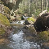 Bad Branch Trail, Kentucky - 192 Reviews, Map | AllTrails