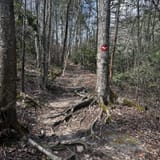 Bad Branch Trail, Kentucky - 192 Reviews, Map | AllTrails