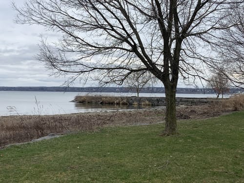 2023 Best trails in Seneca Lake State Park | AllTrails