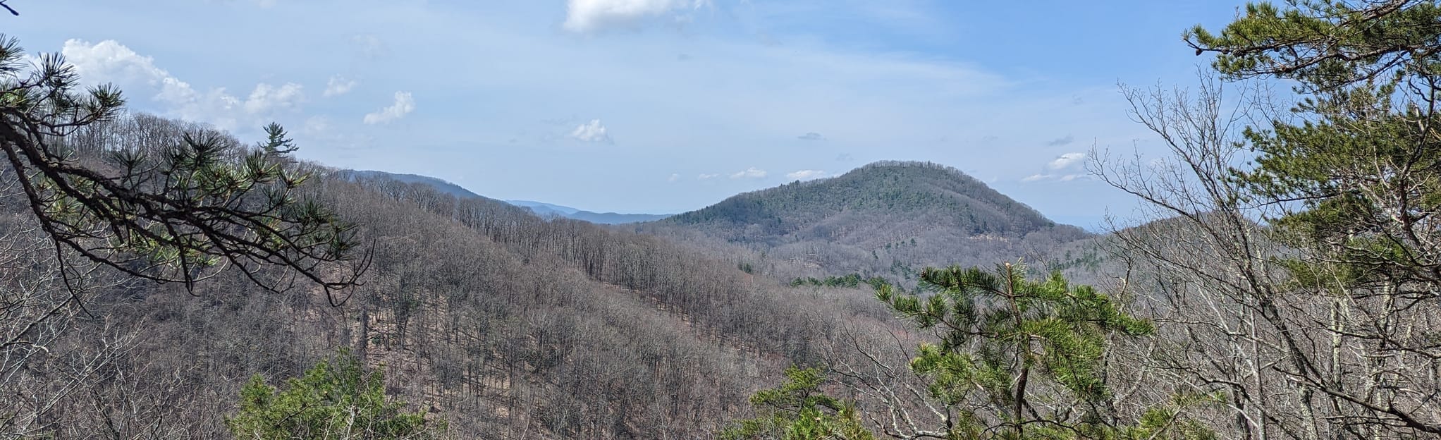 Coon Den Falls via Appalachian Trail, Tennessee - 295 Reviews, Map ...