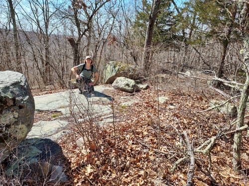 Best Hikes and Trails in Nehantic State Forest | AllTrails