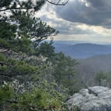 High Rocks Trail, Virginia - 483 Reviews, Map | AllTrails
