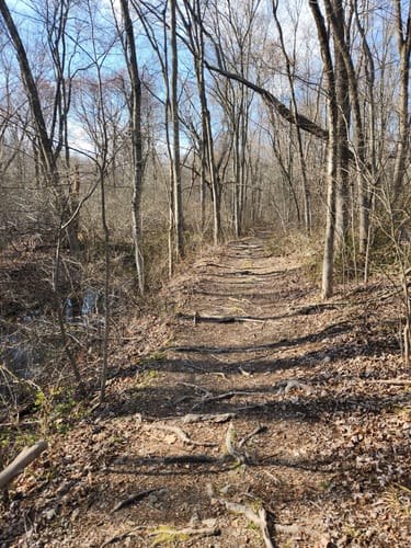 Best Hikes and Trails in Attleboro Springs Wildlife Sanctuary | AllTrails