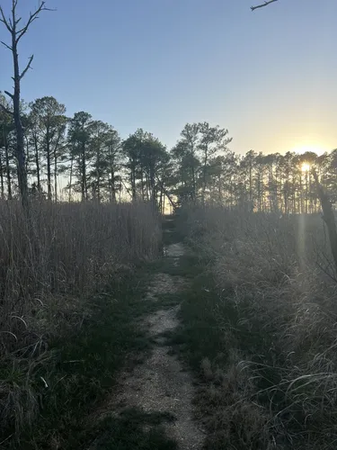 Best Hikes and Trails in Point Lookout State Park | AllTrails