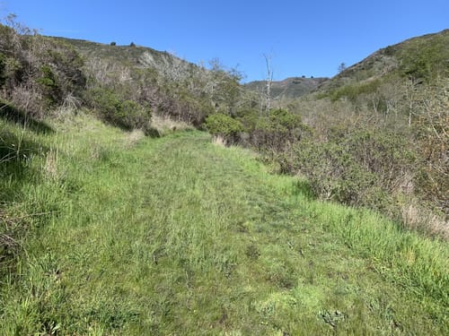 Best Hikes and Trails in Burleigh H. Murray Ranch | AllTrails
