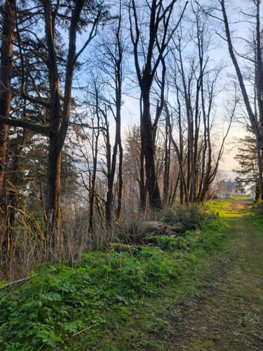 Best Hikes and Trails in Fort Columbia State Park | AllTrails