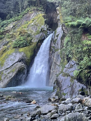 Giant Gate Falls : les meilleures randonnées en 2023 | AllTrails