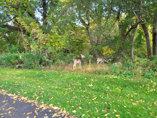 Best Hikes and Trails in Feasterville-Trevose | AllTrails