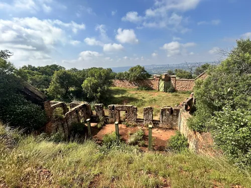 Best Hikes and Trails in Wonderboom Nature Reserve | AllTrails