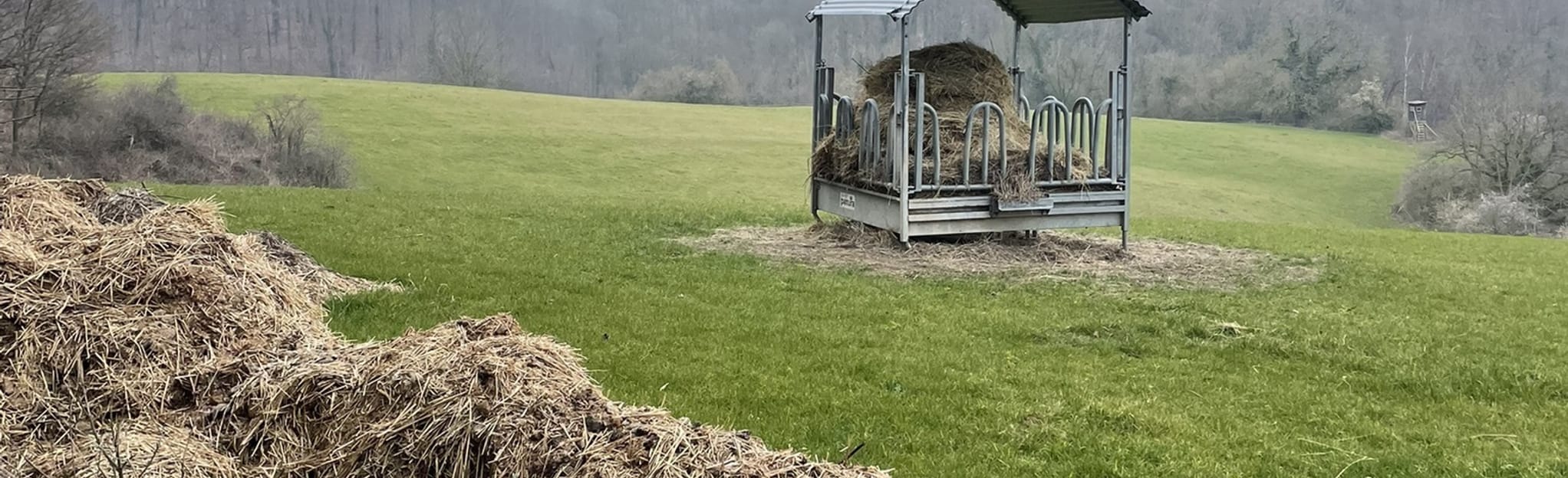 Hemsbach - The hiking triangle on the Badische Bergstrasse: 6 Reviews ...