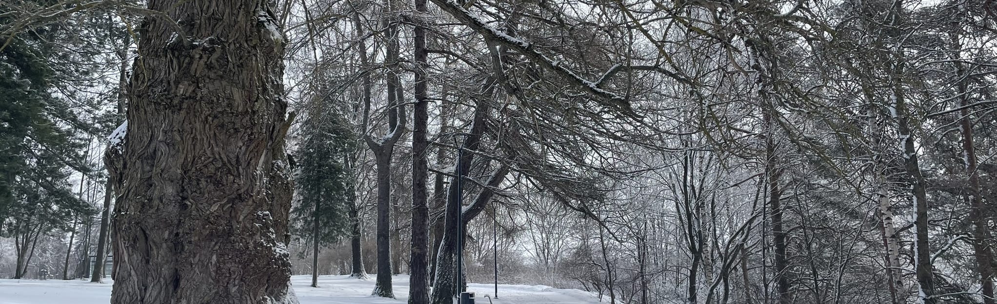 Pyynikki Shore Trail: 3 Reviews, Map - Pirkanmaa, Finland | AllTrails