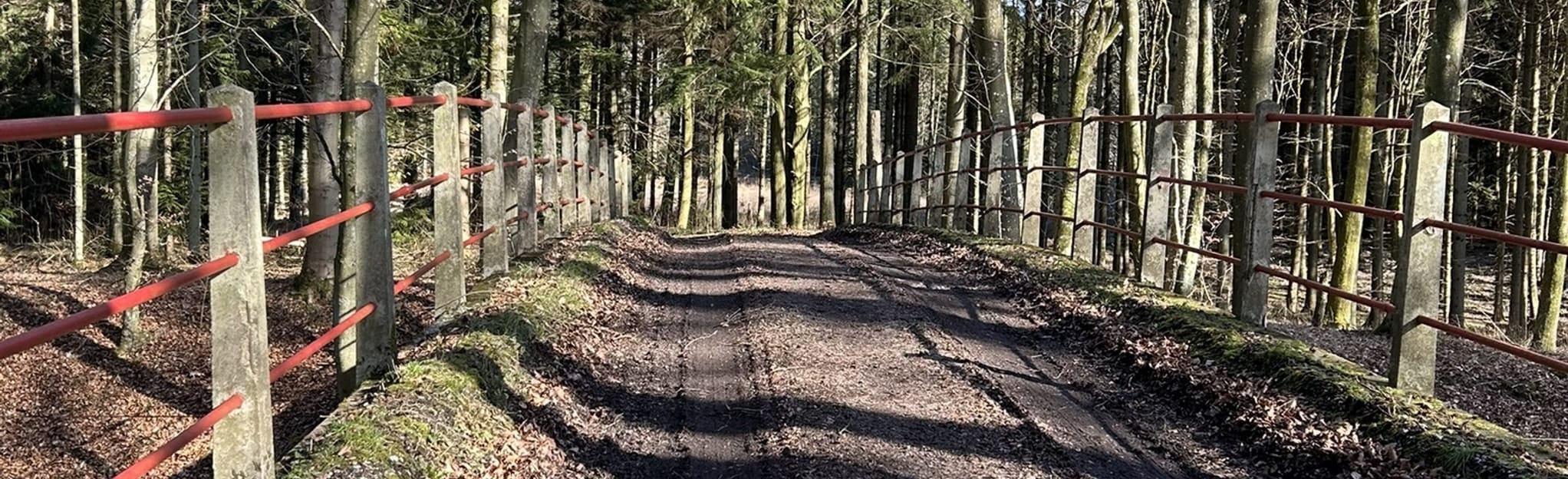 Bistrup Skovene - Højbjerg Skove: 6 Fotos - Seeland, Dänemark | AllTrails