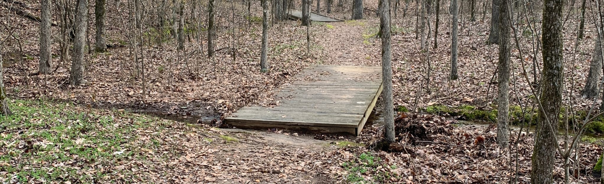 Habitats Trail (Crowley's Ridge Nature Center), 19 Photos - Arkansas ...