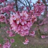 JCB Lake Circular, Staffordshire, England - 22 Reviews, Map | AllTrails