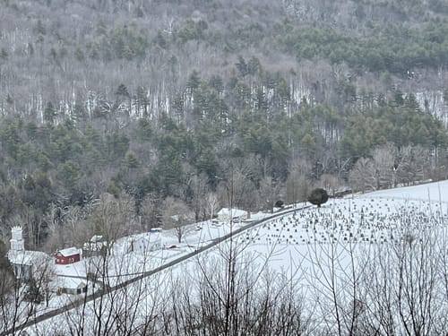 Best Hikes and Trails in Tyringham Cobble | AllTrails