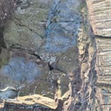 Turtle Back Rock Interpretive Trail, New Jersey - 152 Reviews, Map ...