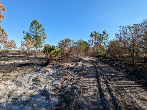 Best Hikes and Trails in Chito Branch Reserve | AllTrails