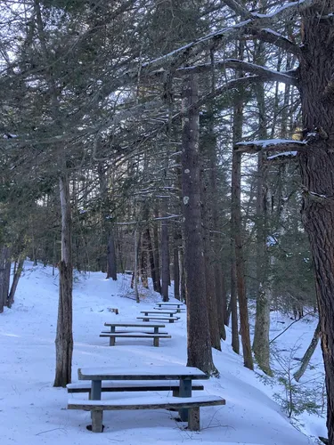 Best Hikes and Trails in John A. Minetto State Park | AllTrails