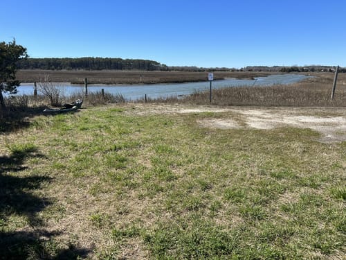 Best Hikes and Trails in Magothy Bay Natural Area Reserve | AllTrails