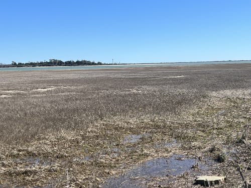 Best Hikes and Trails in Magothy Bay Natural Area Reserve | AllTrails