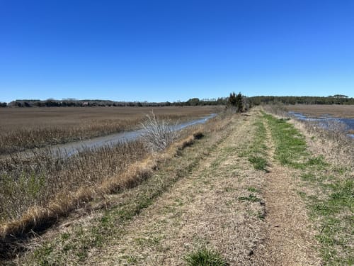 Best Hikes and Trails in Magothy Bay Natural Area Reserve | AllTrails