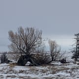 Eagle Lake, Alberta, Canada - 67 Reviews, Map | AllTrails